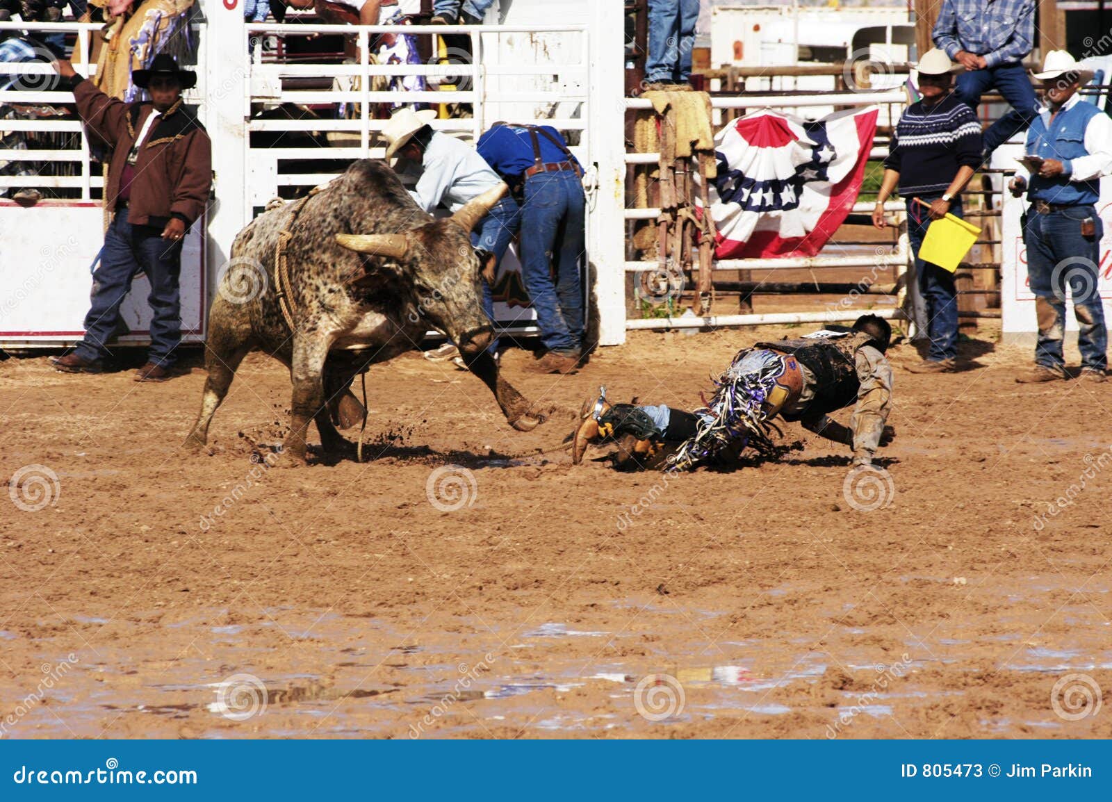 Rodeo action stock image. Image of dirt, rodeo, bulldogging - 805473