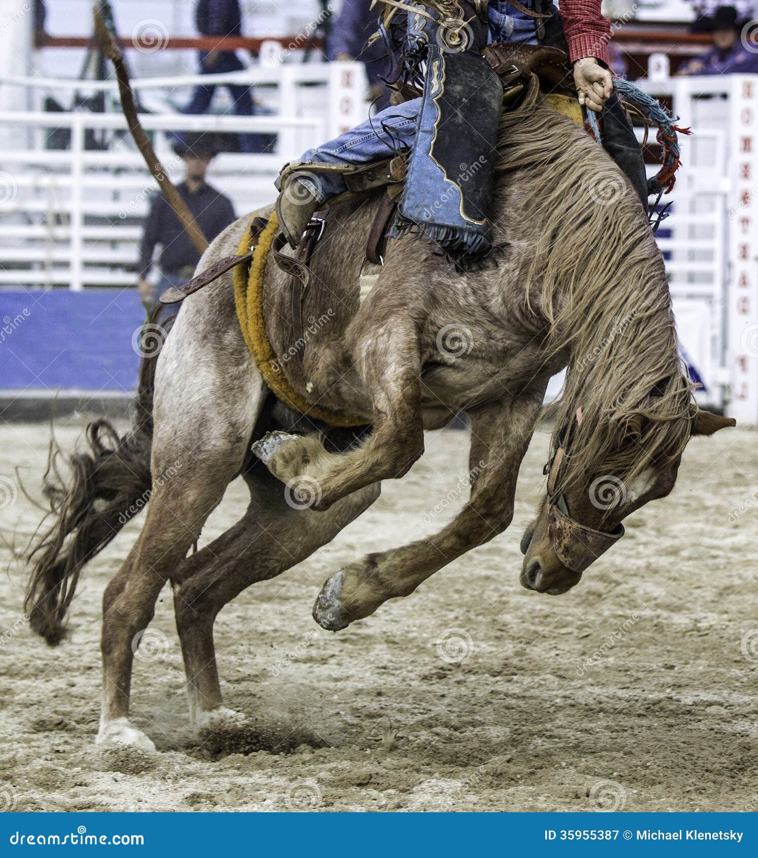 Rodeo Action stock image. Image of determination, action - 35955387
