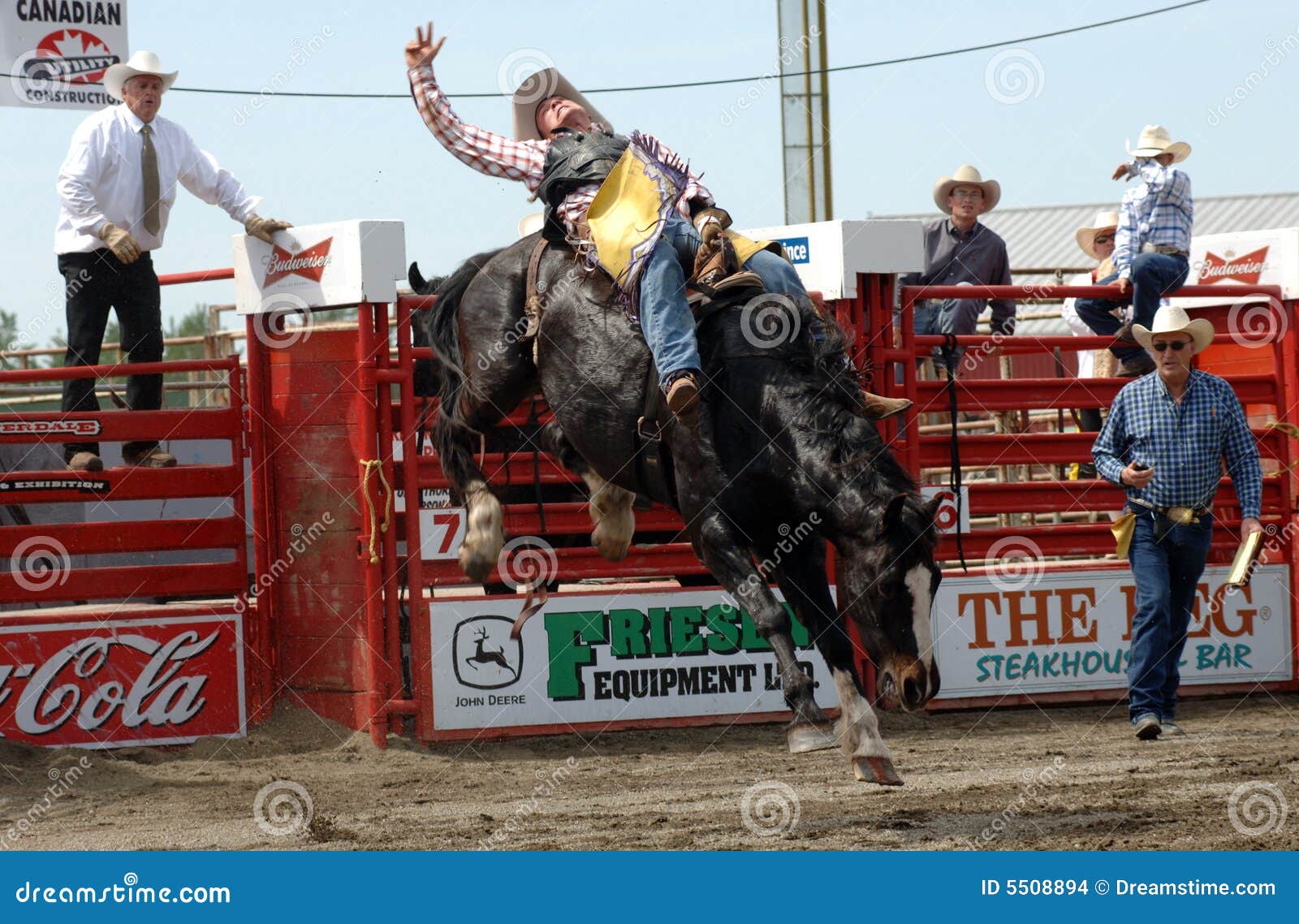Rodeo: Bareback Riding editorial stock image. Image of bull - 5508894