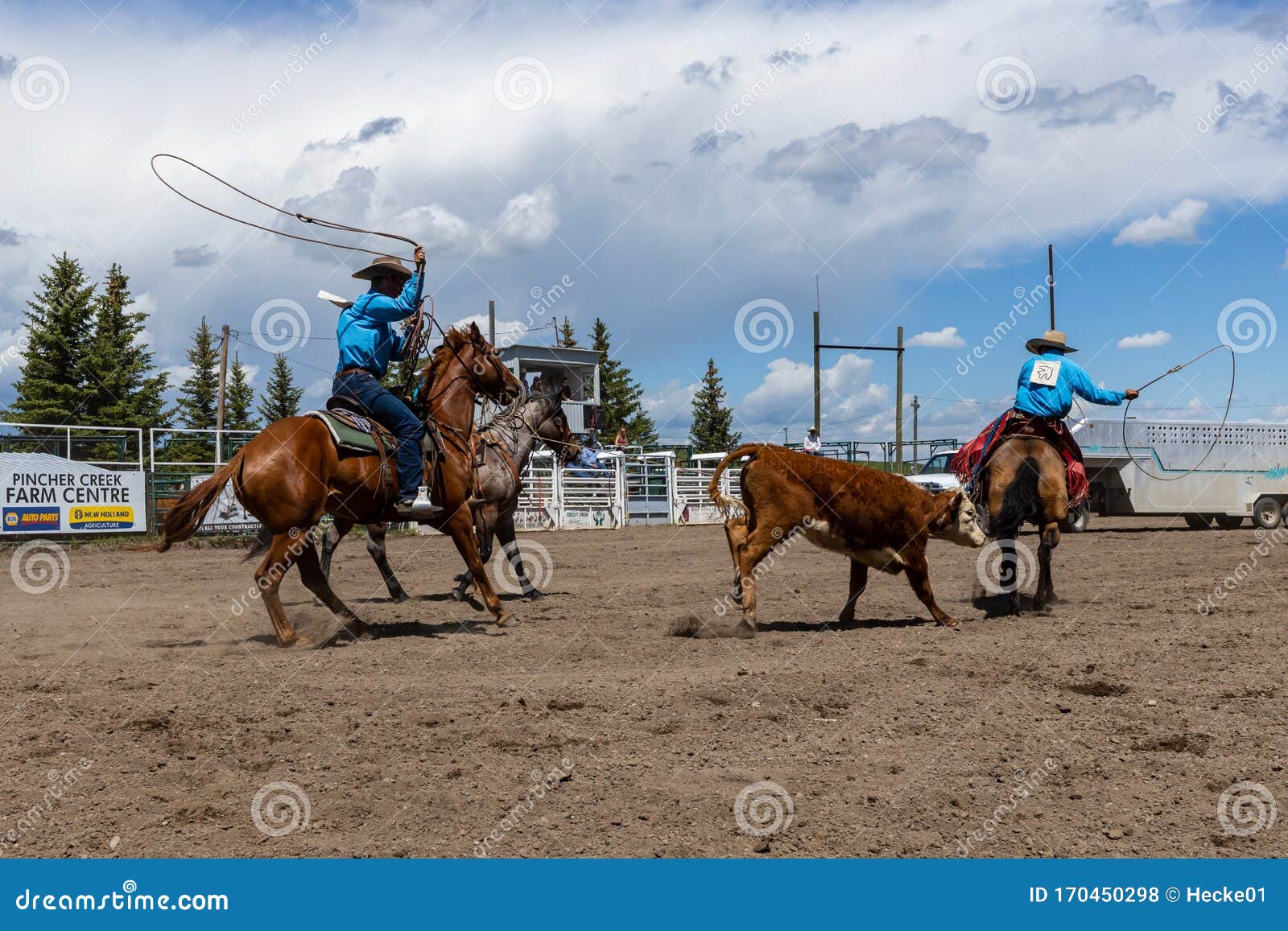 Rodeo Bronco Riding in Pincher Creek Canada Editorial Stock Photo ...