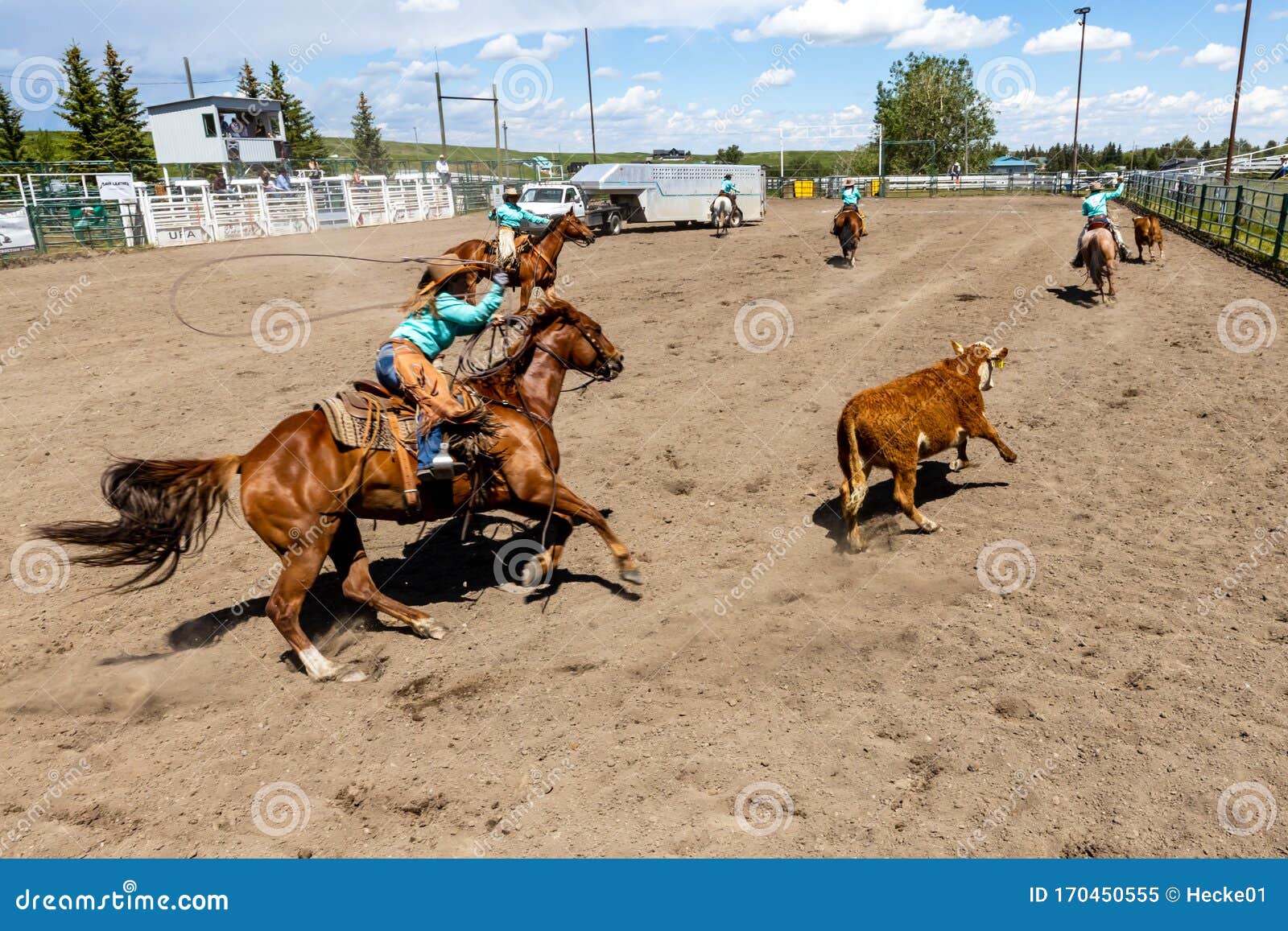 Rodeo Bronco Riding in Pincher Creek Canada Editorial Image - Image of ...