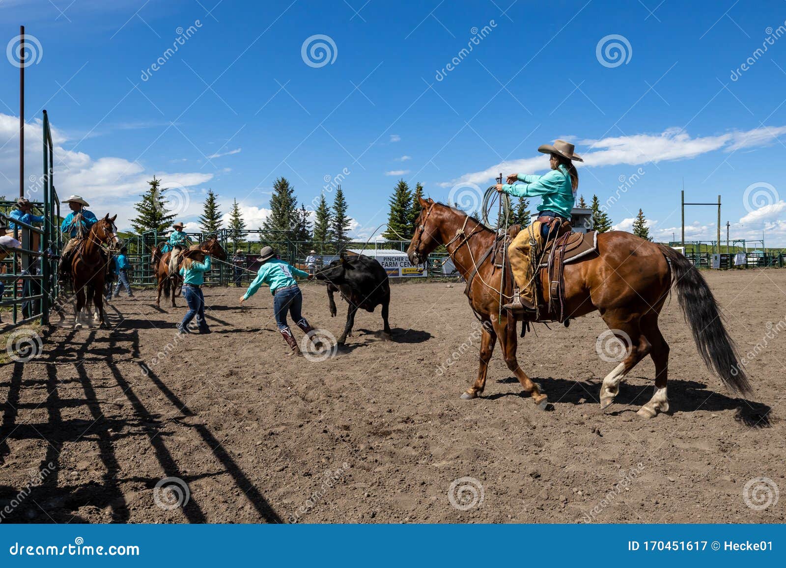 Rodeo Bronco Riding in Pincher Creek Canada Editorial Photography ...