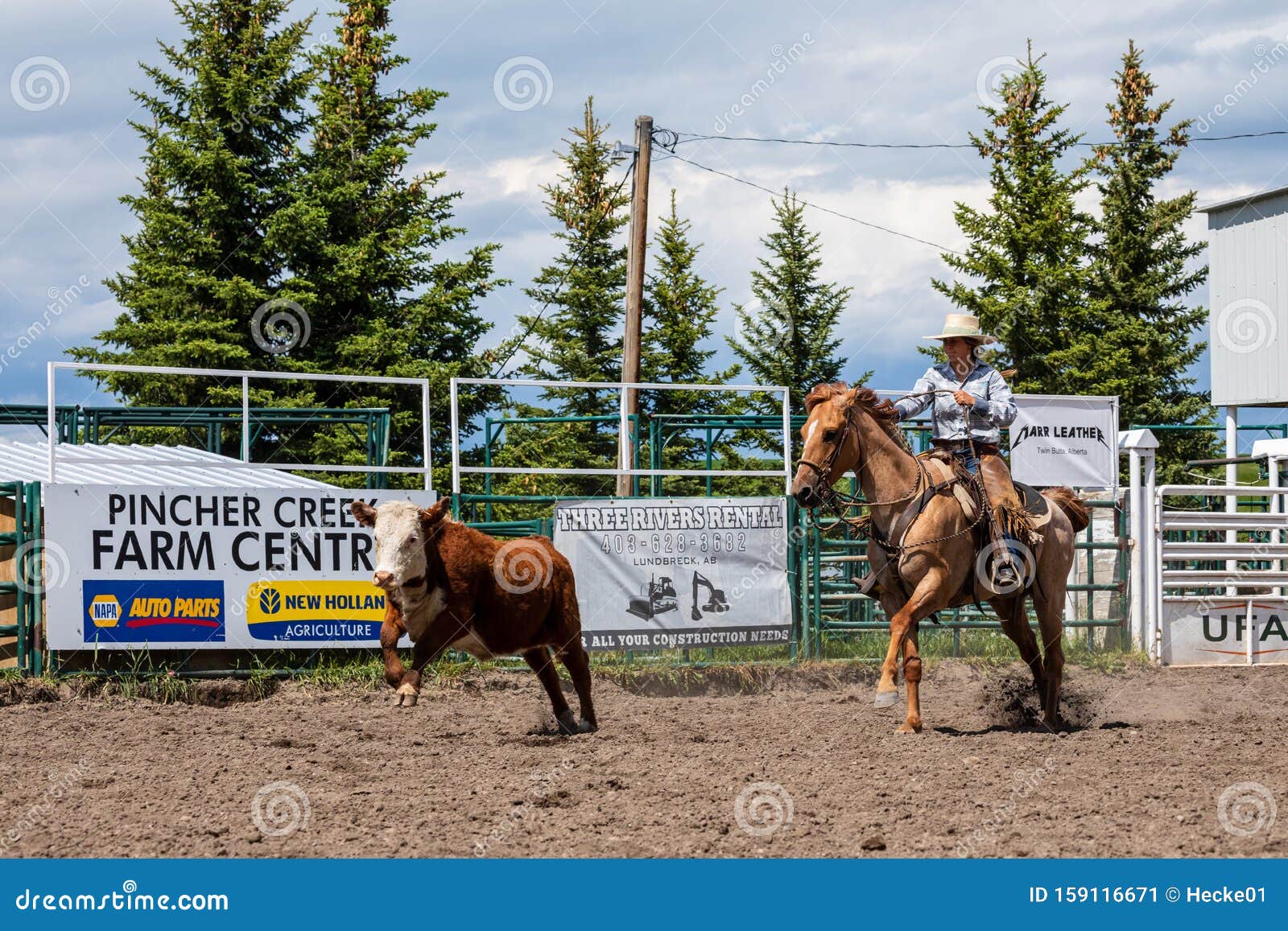 Rodeo and Bronco Riding in Pincher Creek Canada Editorial Photo - Image ...