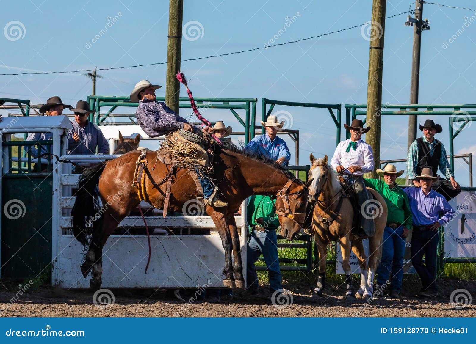 Rodeo and Bronco Riding in Pincher Creek Canada Editorial Image - Image ...