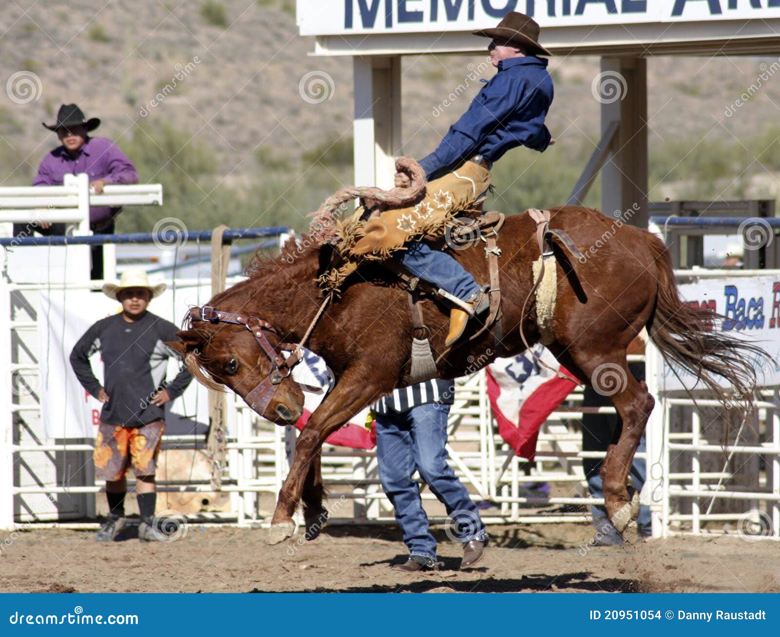Rodeo Bucking Bronc Rider editorial stock image. Image of america ...