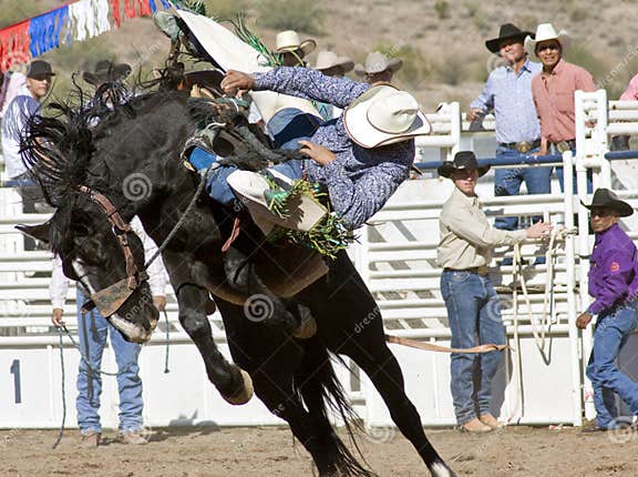 Rodeo Bucking Bronc Rider editorial photo. Image of athlete - 20951146