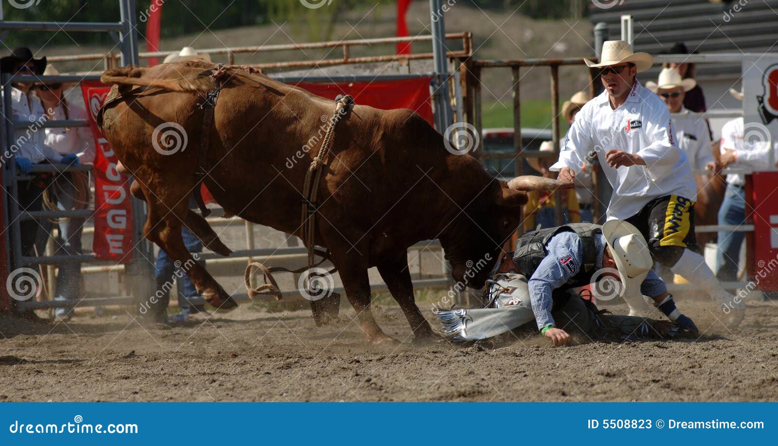 Rodeo: Bull Fighting editorial stock photo. Image of rodeo - 5508823