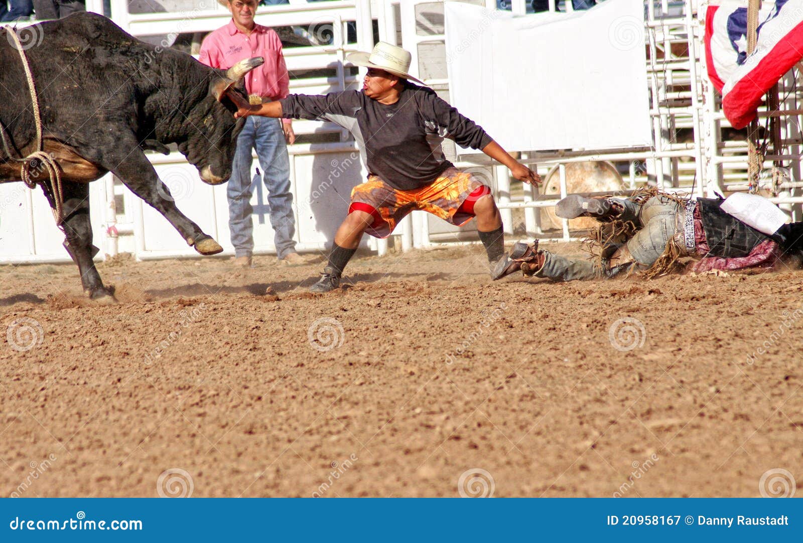 Rodeo Bull Riding editorial photography. Image of athlete - 20958167