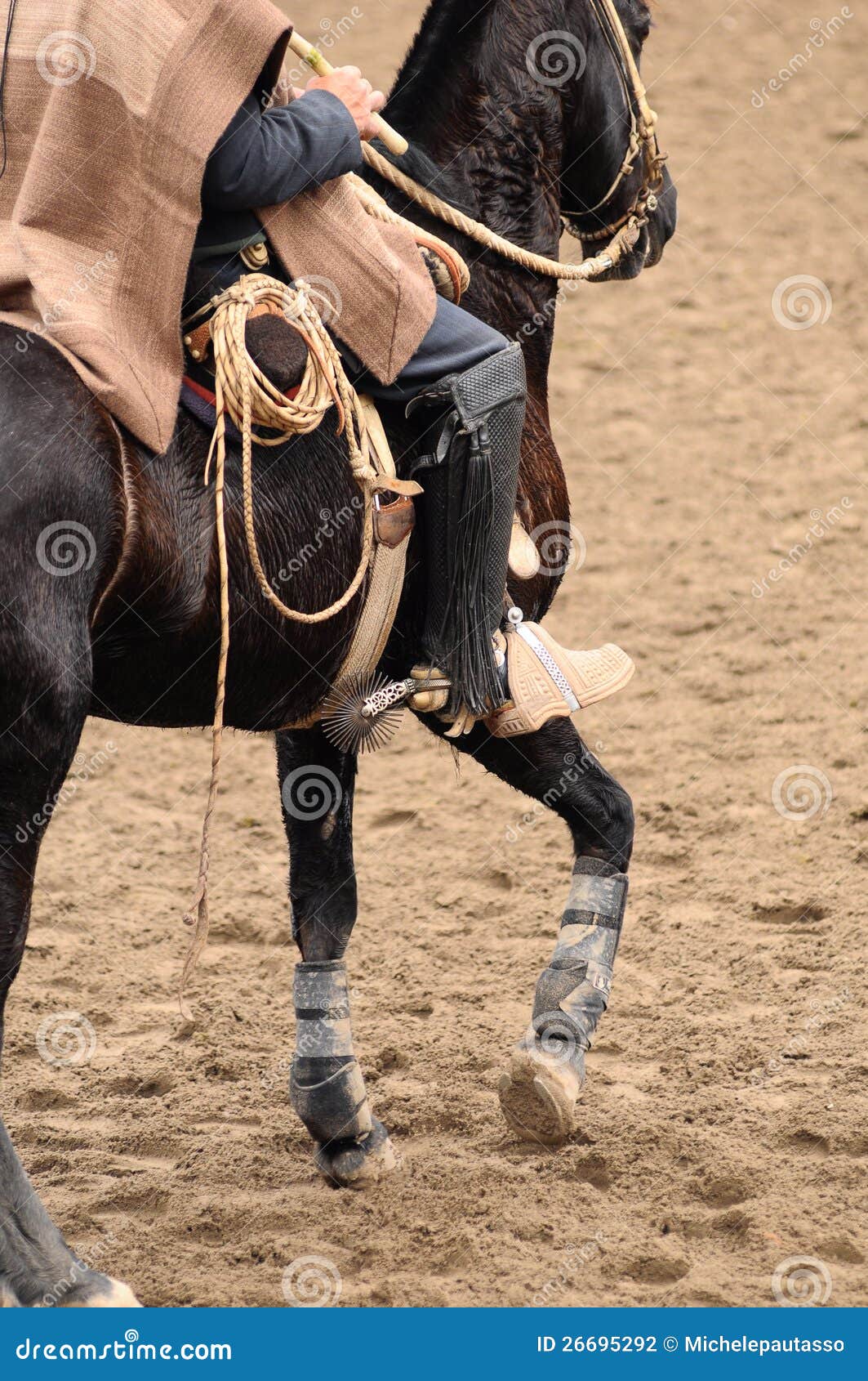 Rodeo in chile stock photo. Image of flight, chaps, bronco - 26695292
