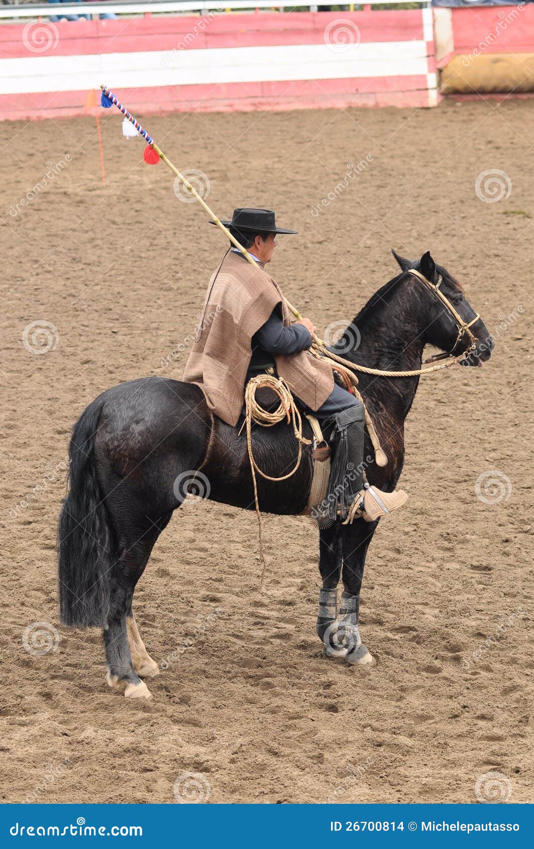 Rodeo in chile editorial stock image. Image of huaso - 26700814