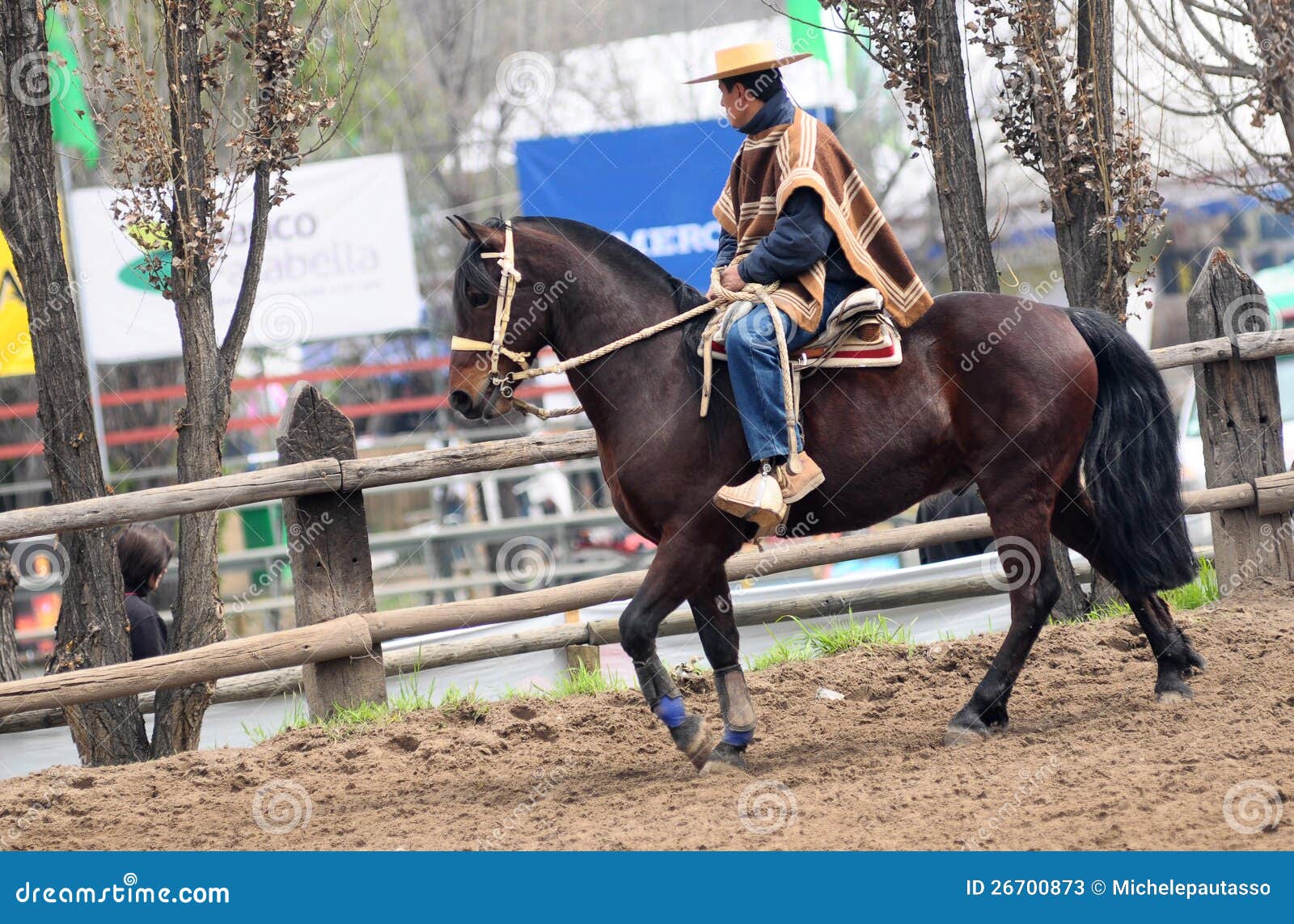 Rodeo in chile editorial stock photo. Image of arena - 26700873