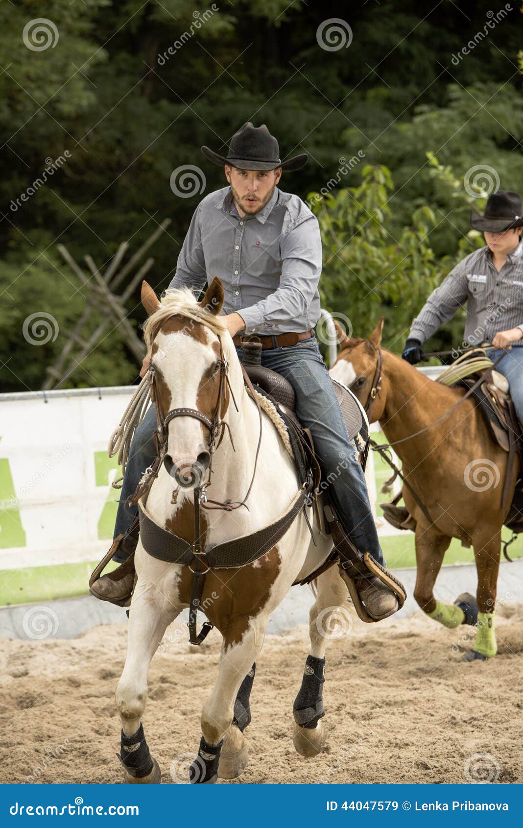 Rodeo competition editorial stock image. Image of horseback - 44047579