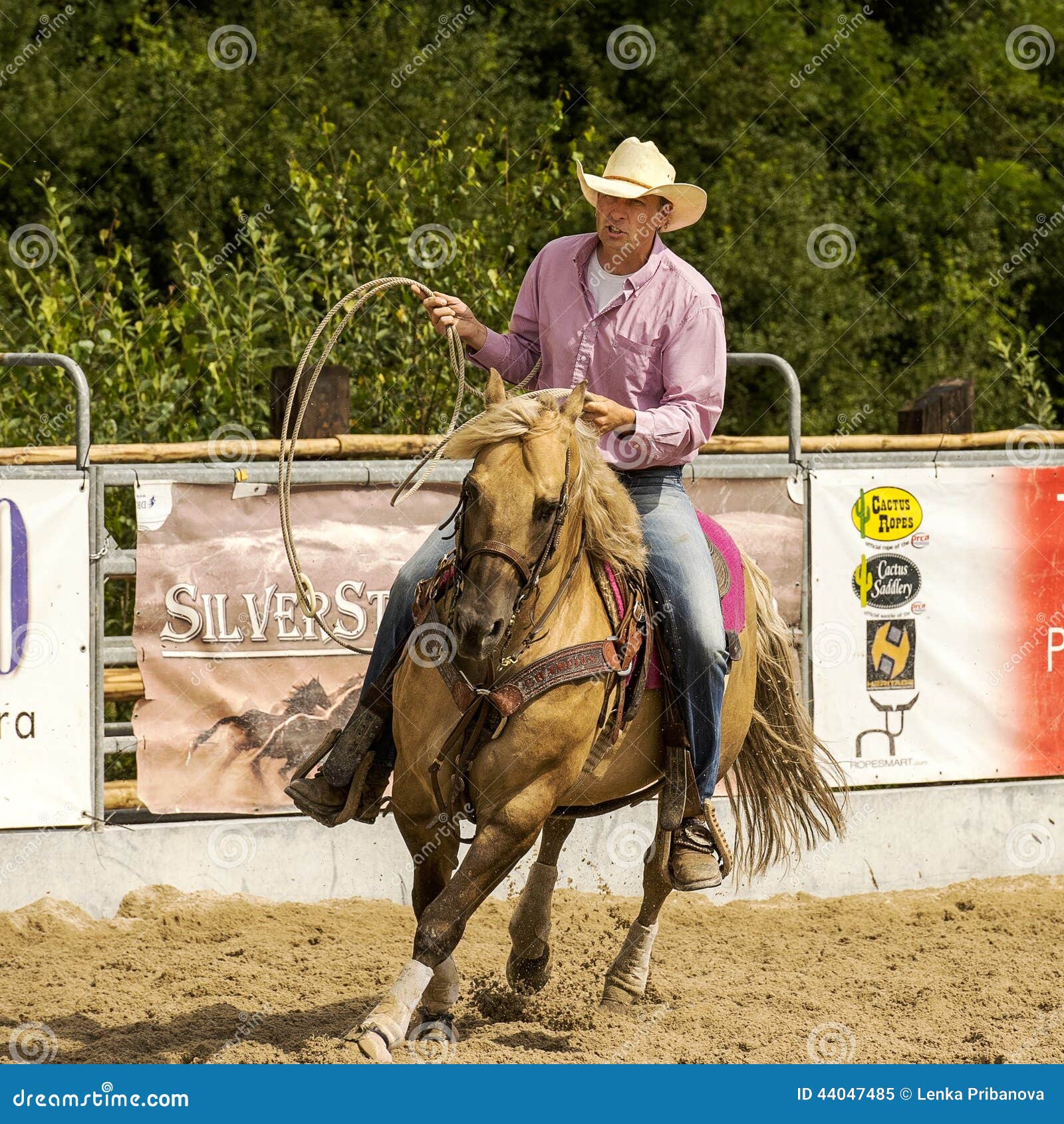 Rodeo Competition in Ranch Roping Editorial Image - Image of country ...