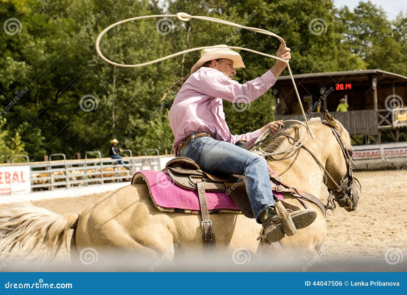 Rodeo Competition in Ranch Roping Editorial Photo - Image of forest ...