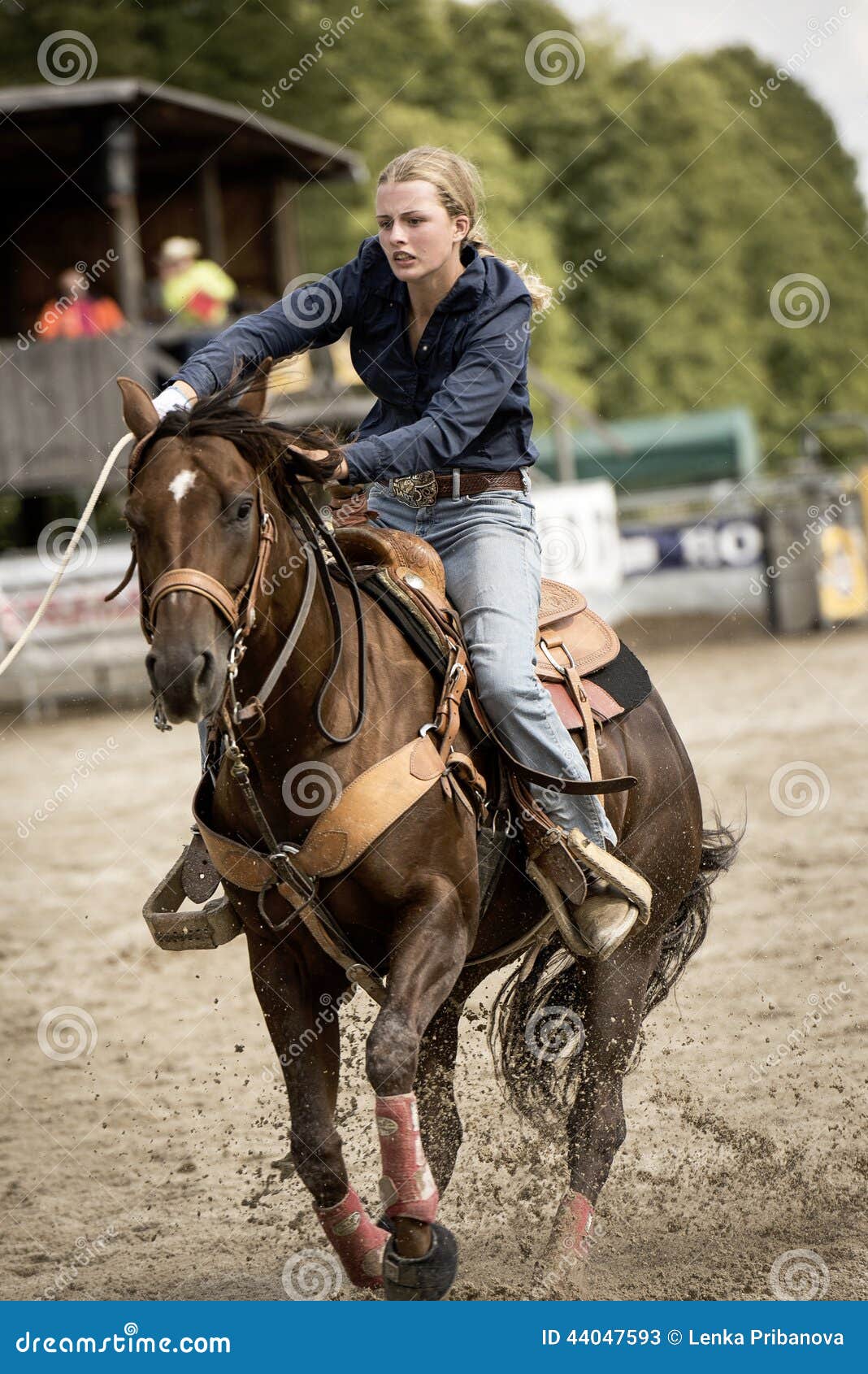 Rodeo Competition in Ranch Roping Editorial Stock Photo - Image of ...