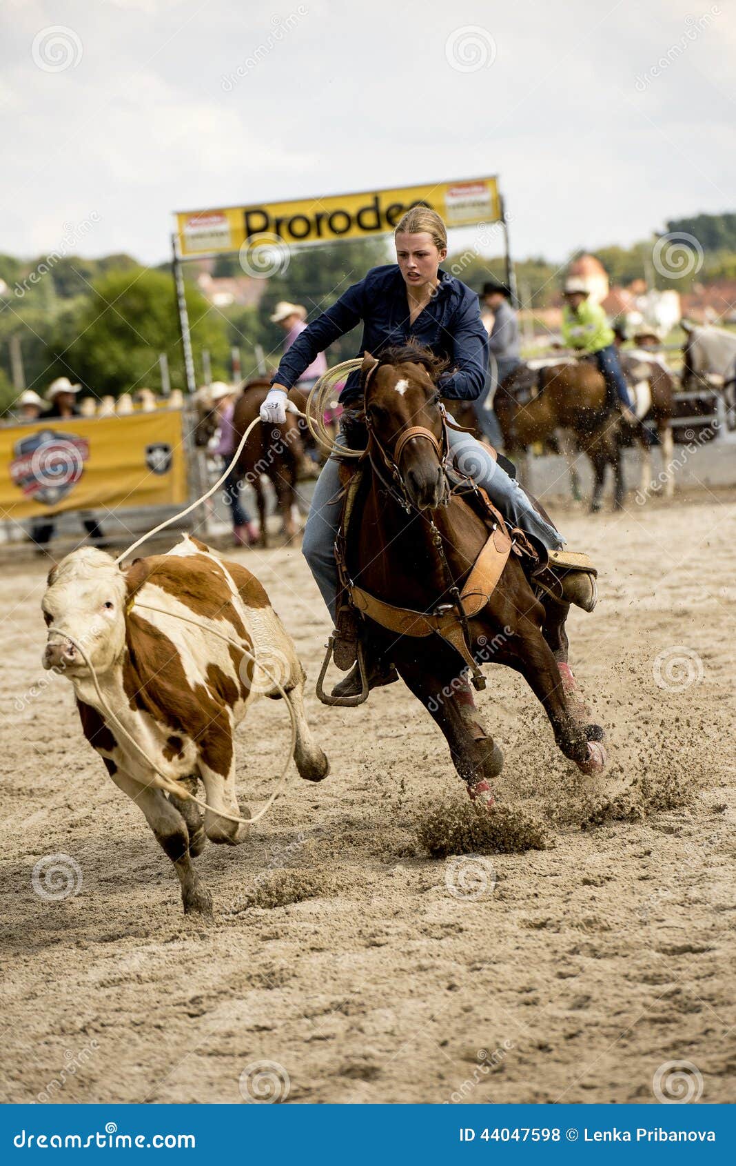 Rodeo Competition in Ranch Roping Editorial Stock Photo - Image of calf ...