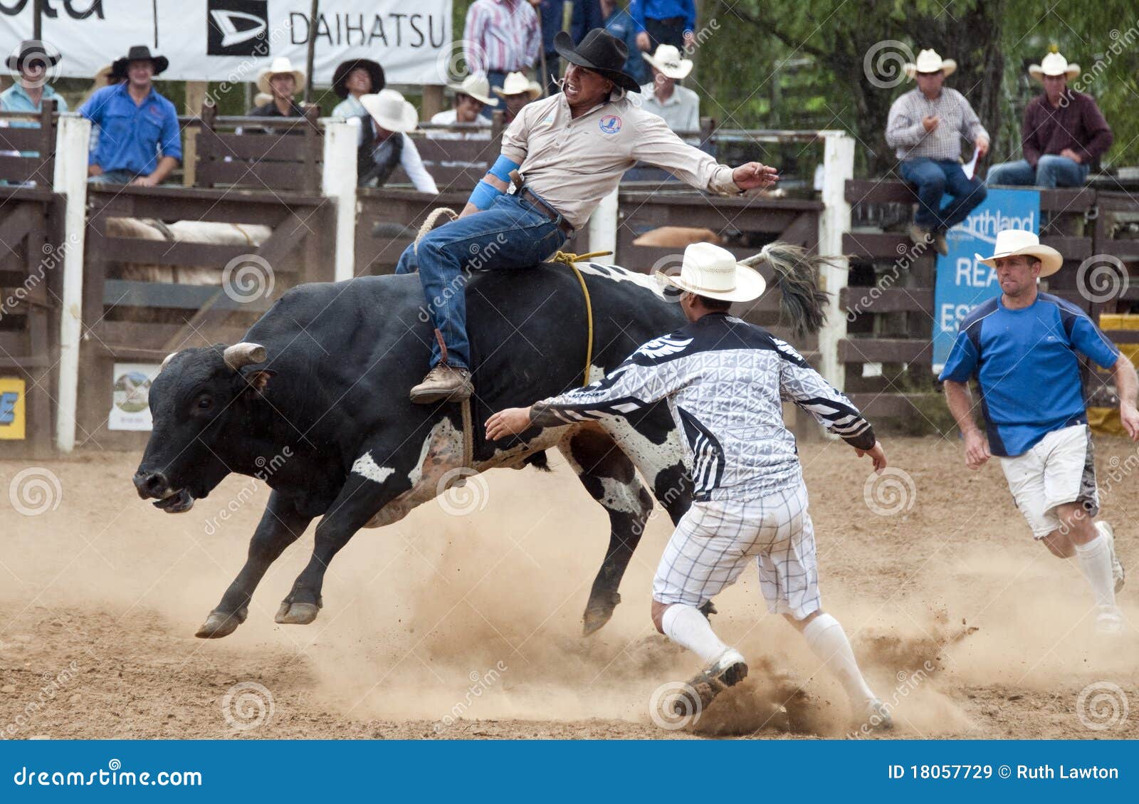 Rodeo - Cowboy, Der Einen Stier Reitet Redaktionelles Stockbild - Bild ...