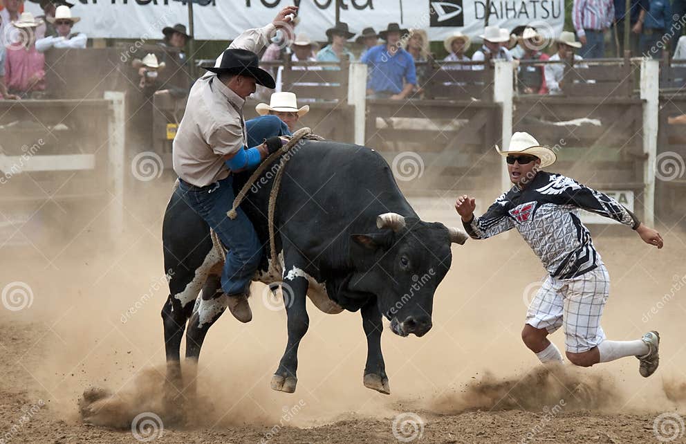 Rodeo - Cowboy Falling Off a Bull Editorial Photography - Image of ...