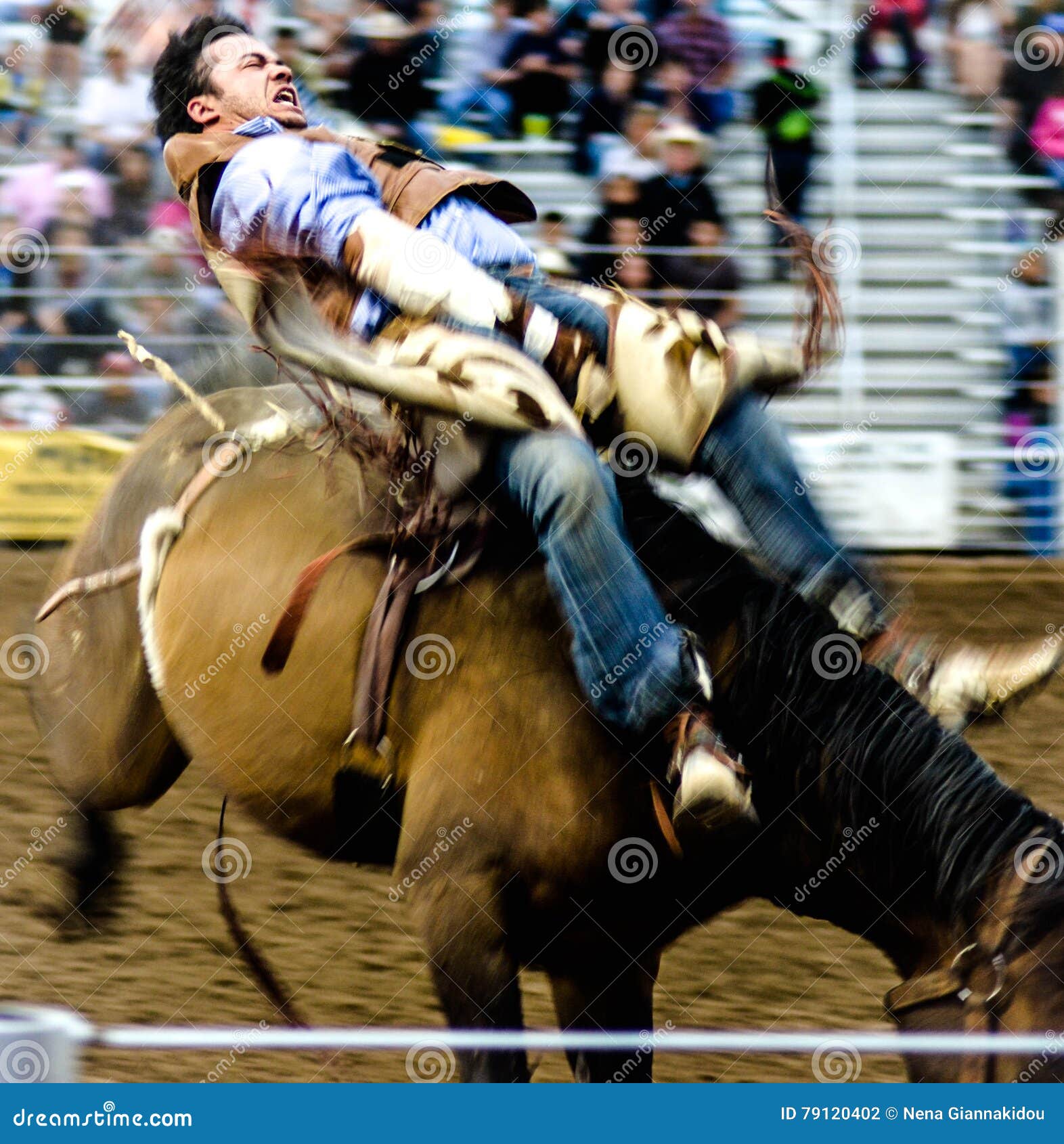 Rodeo Cowboy editorial photography. Image of jeans, country - 79120402