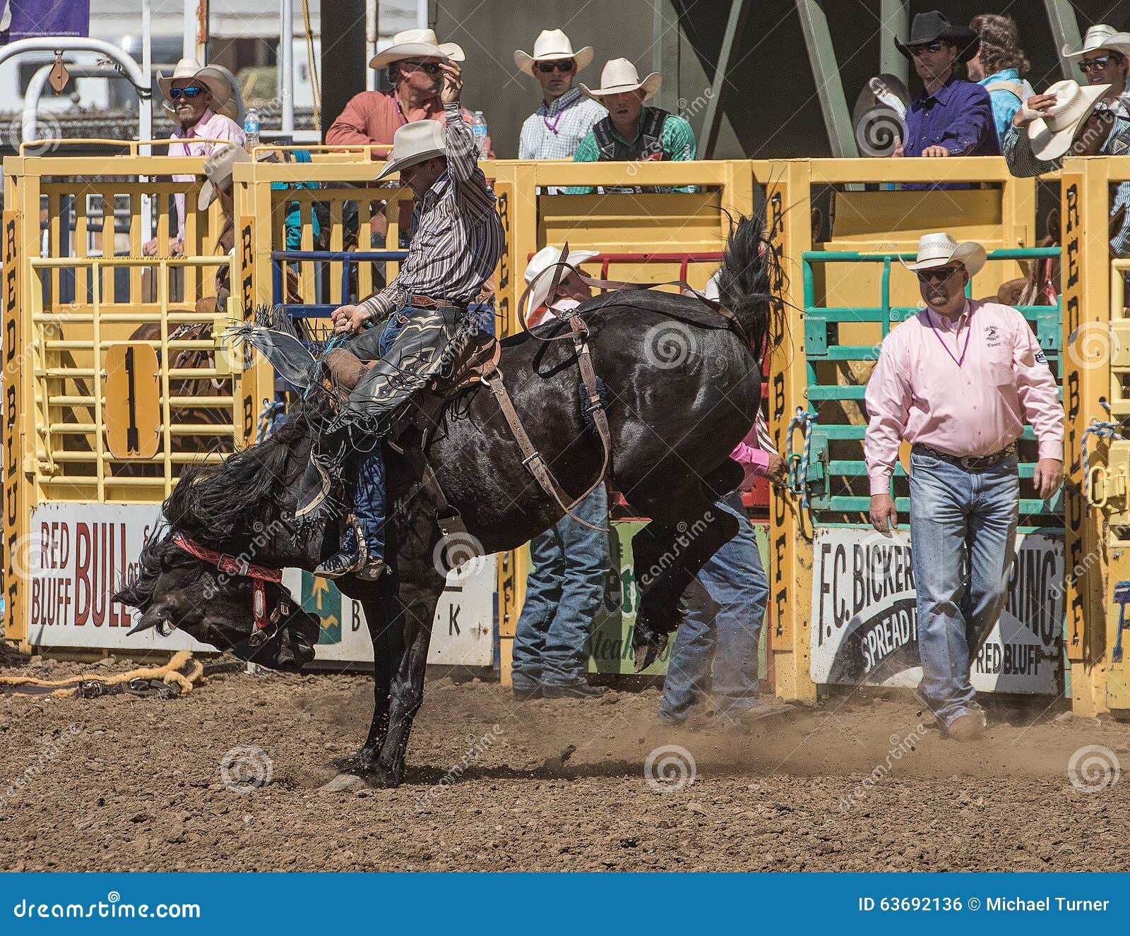 Rodeo Cowboy On A Rough Ride Editorial Photo | CartoonDealer.com #63692409 Rodeo Cowboy On A Rough Ride Editorial Photo | CartoonDealer.com #63692409