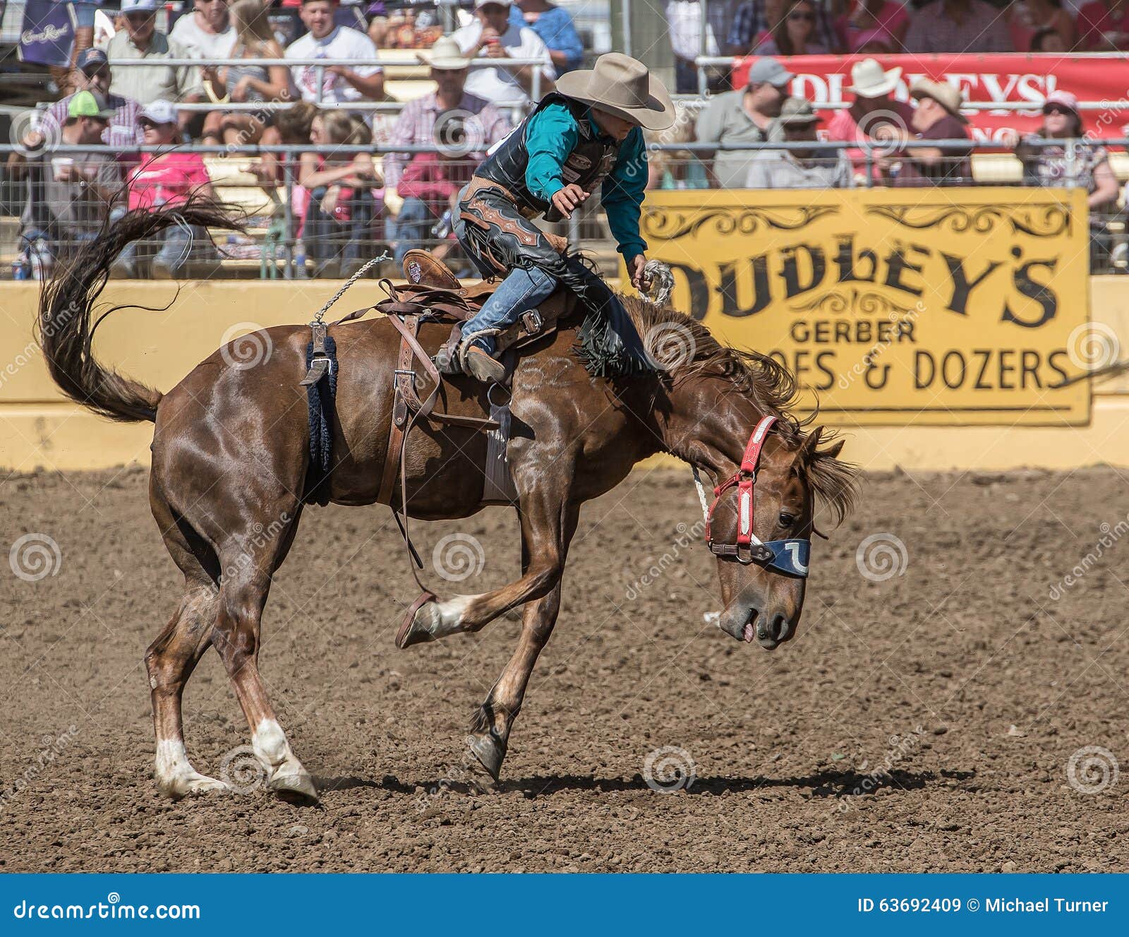 Rodeo Cowboy On A Rough Ride Editorial Photo | CartoonDealer.com #63692409 Rodeo Cowboy On A Rough Ride Editorial Photo | CartoonDealer.com #63692409