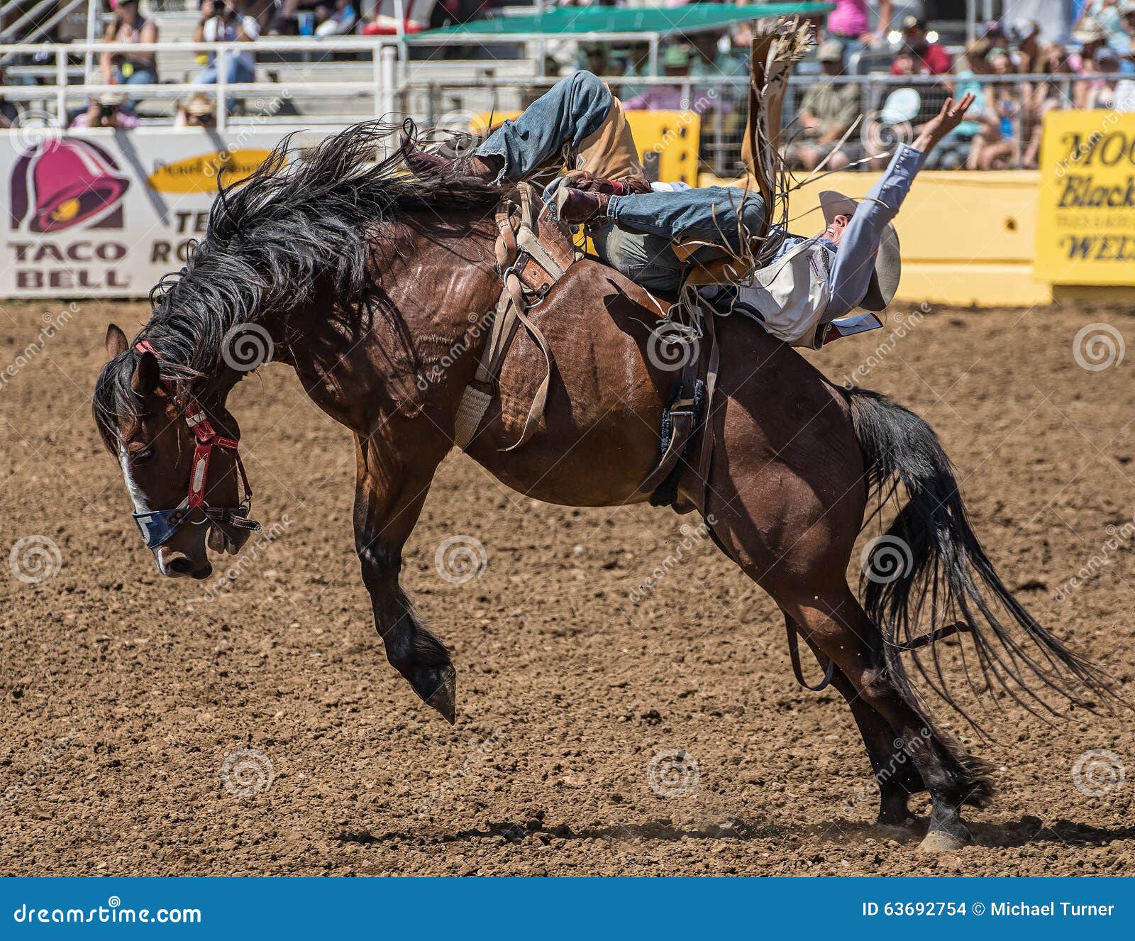 Rodeo Cowboy On A Rough Ride Editorial Photo | CartoonDealer.com #63692409 Rodeo Cowboy On A Rough Ride Editorial Photo | CartoonDealer.com #63692409