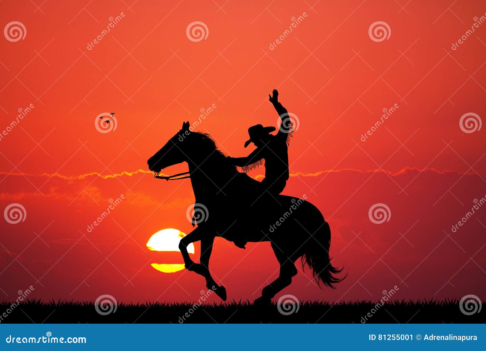 Rodeo cowboy at sunset stock illustration. Illustration of wild - 81255001
