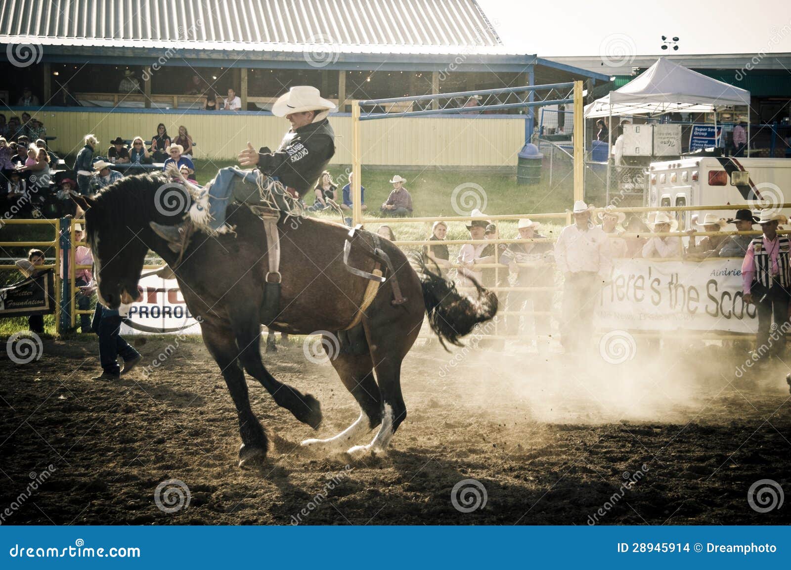 Rodeo and cowboys editorial stock image. Image of rope - 28945914