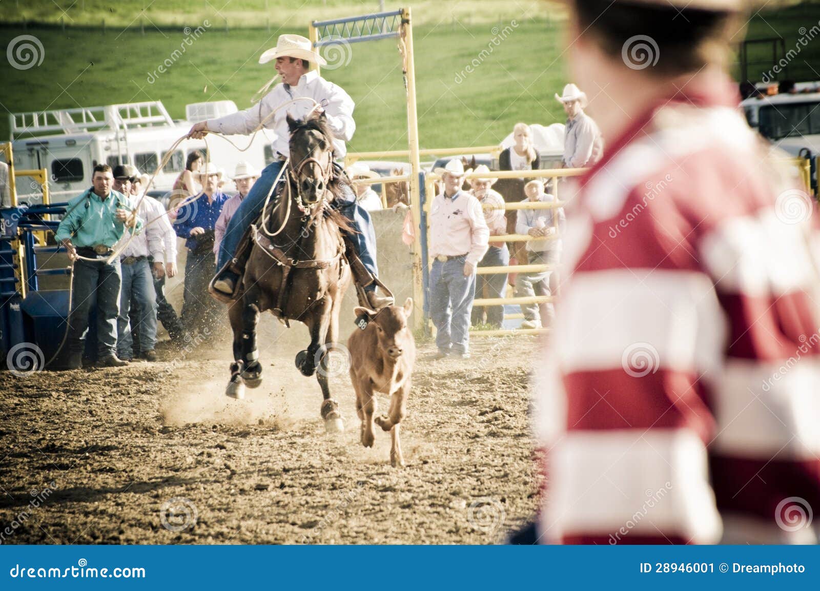 Rodeo and cowboys editorial photo. Image of white, hourse - 28946001
