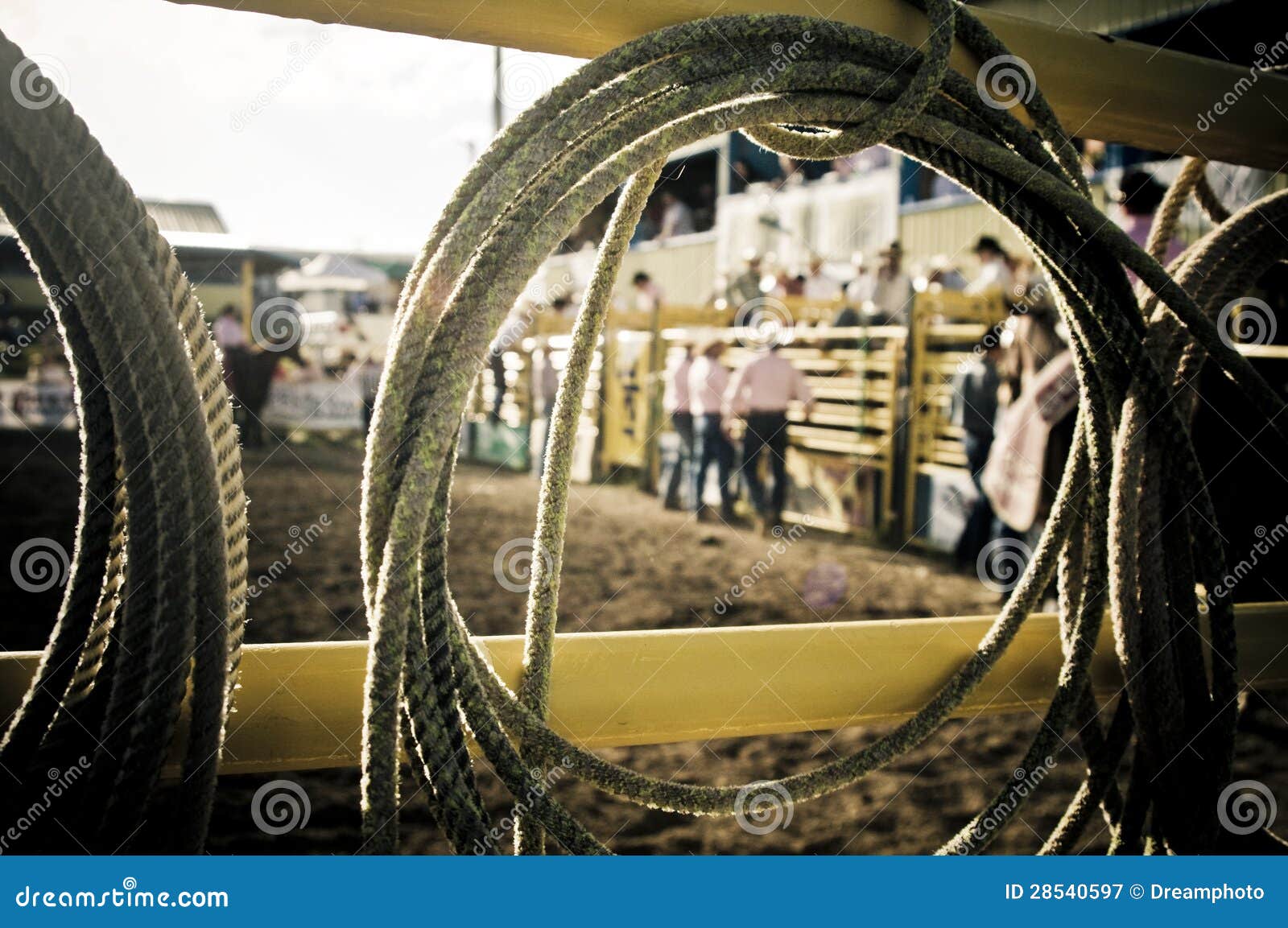 Rodeo De La Cuerda Del Lazo Imagen de archivo - Imagen de gente ...