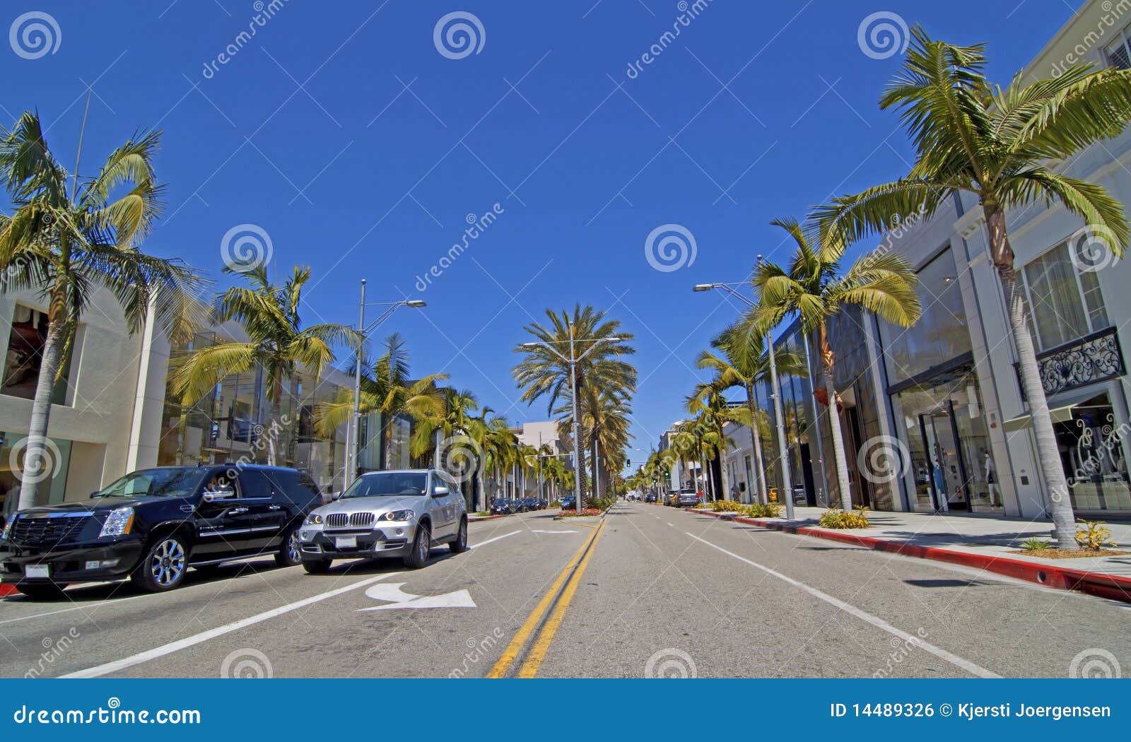 Rodeo drive stock photo. Image of palm, store, rich, windows - 14489326