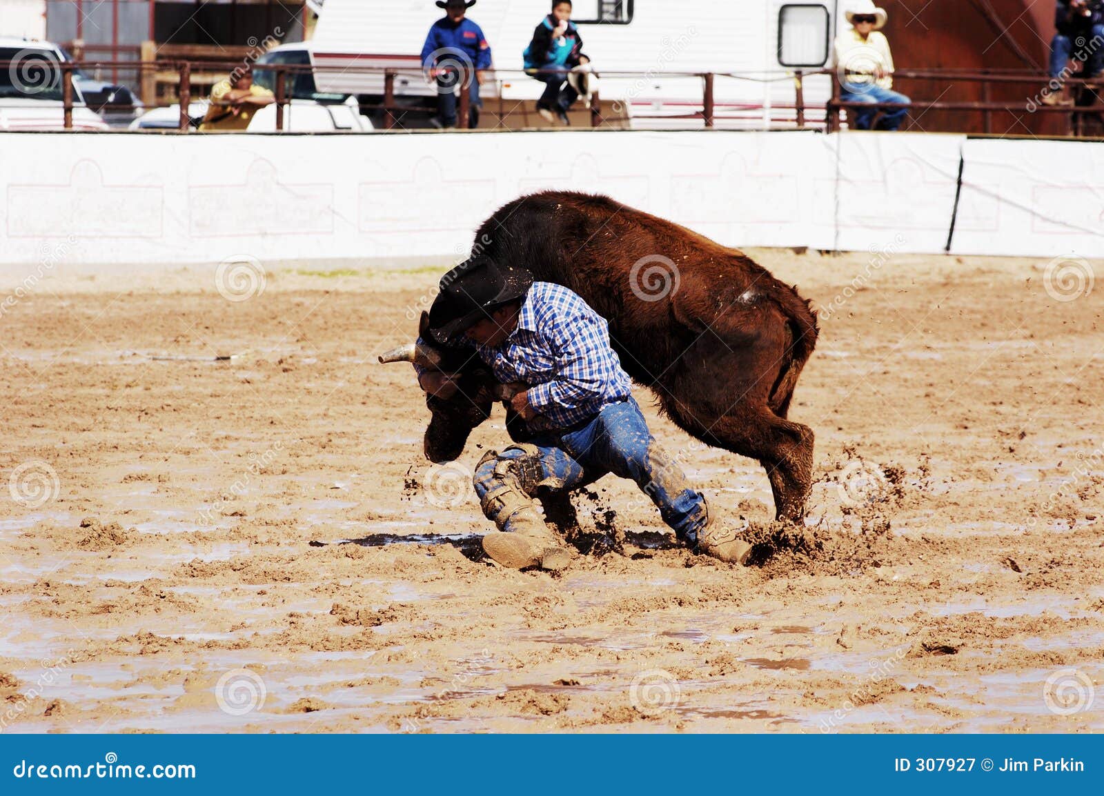 Rodeo en el fango. imagen de archivo. Imagen de sombrero - 307927