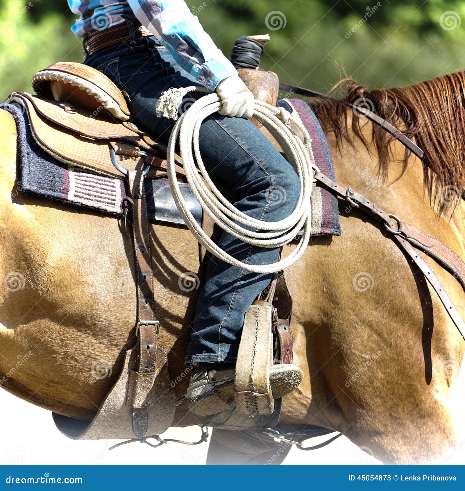 Rodeo equipment stock image. Image of lady, equipment - 45054873