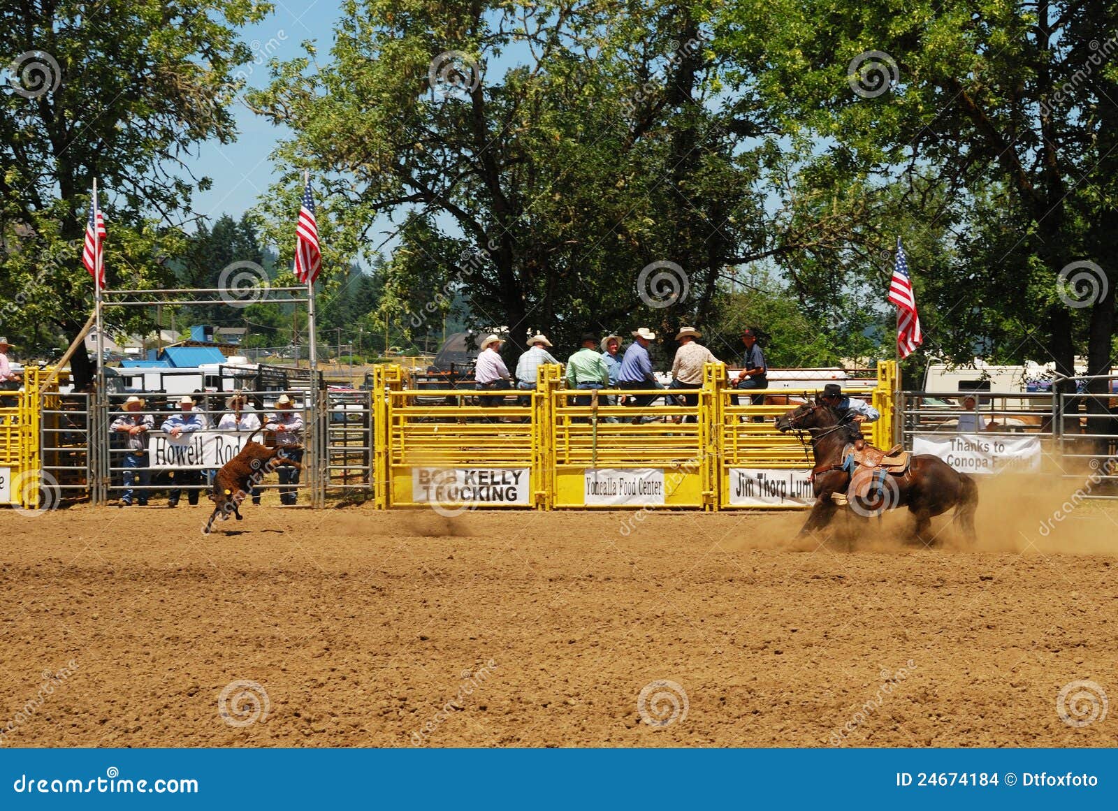 Rodeo Fun editorial stock image. Image of animal, western - 24674184