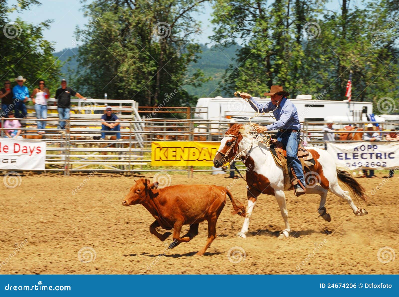 Rodeo Fun editorial photo. Image of sport, jeans, calf - 24674206