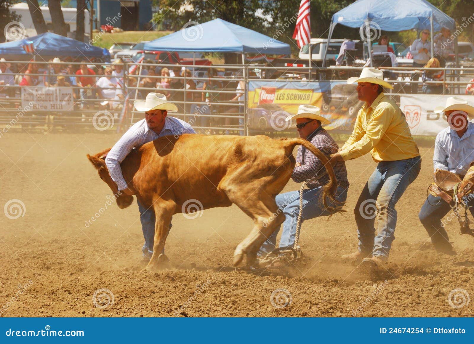 Rodeo Fun editorial stock image. Image of west, wrestling - 24674254