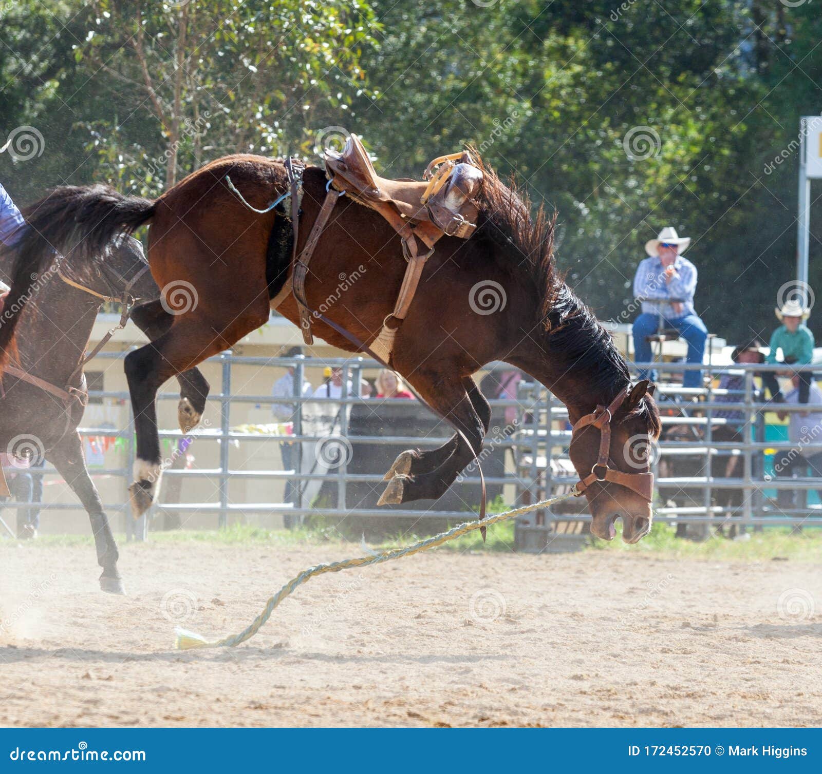 Rodeo stock photo. Image of cowboys, horse, horseback - 172452570
