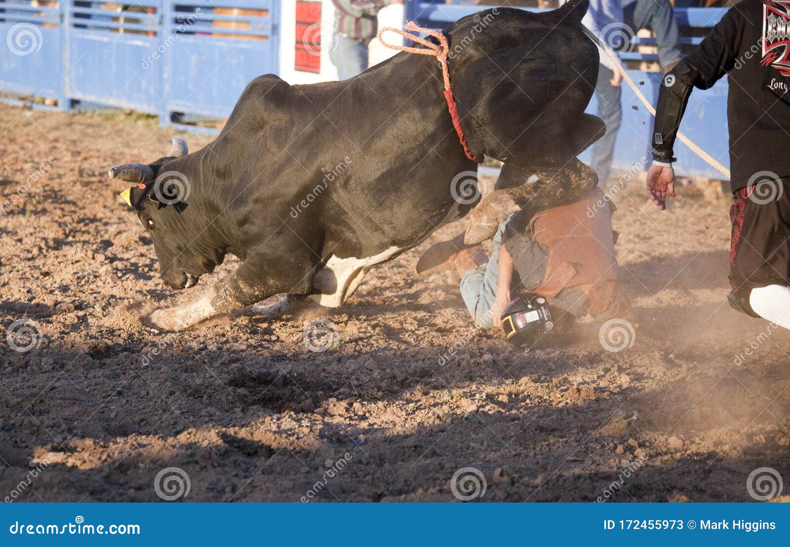 Rodeo an extreme sport editorial stock photo. Image of motion - 172455973