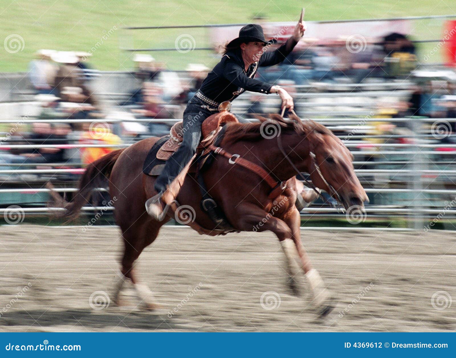 Rodeo: Ladies Barrel Racing Editorial Photography - Image of cloverdale ...