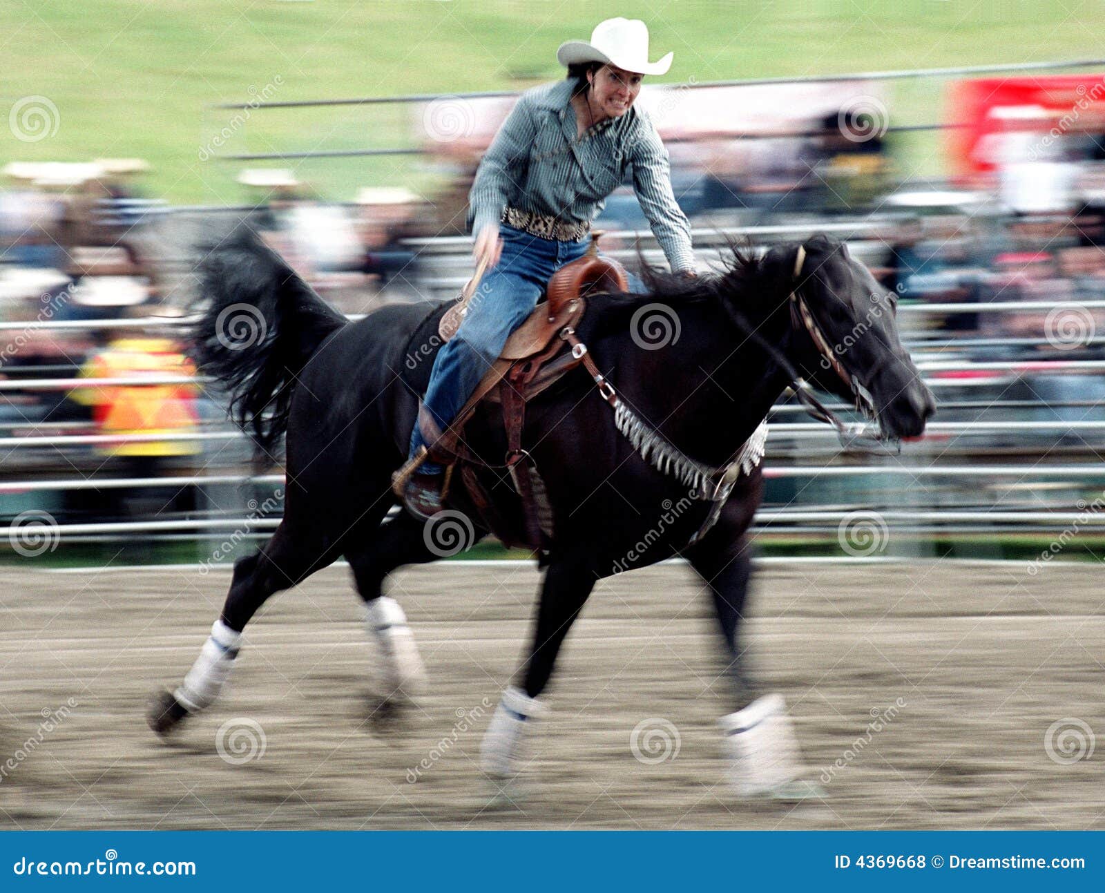 Rodeo: Ladies Barrel Racing Editorial Stock Photo - Image of steer ...