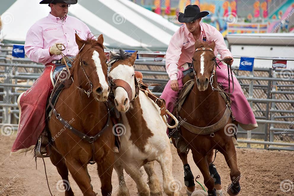 Rodeo pick-up men editorial stock image. Image of saddle - 13292149