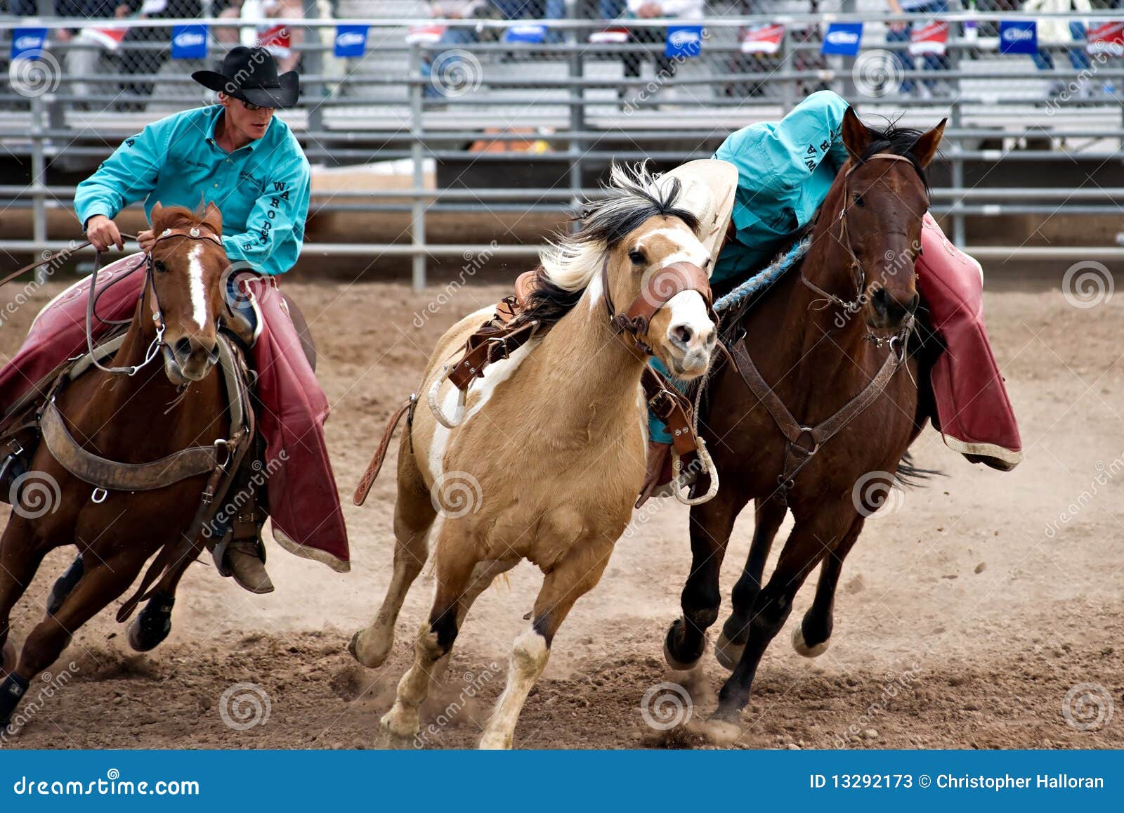 Rodeo pick-up men editorial stock photo. Image of dust - 13292173