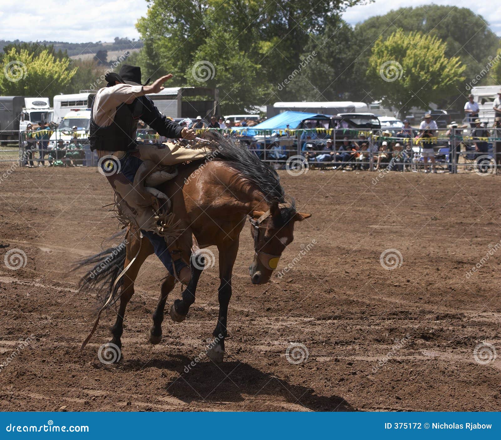 Rodeo Rider stock photo. Image of falling, cowboy, horse - 375172
