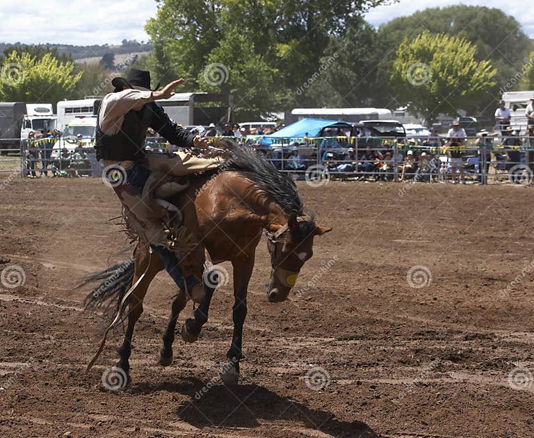 Rodeo Rider stock photo. Image of falling, cowboy, horse - 375172