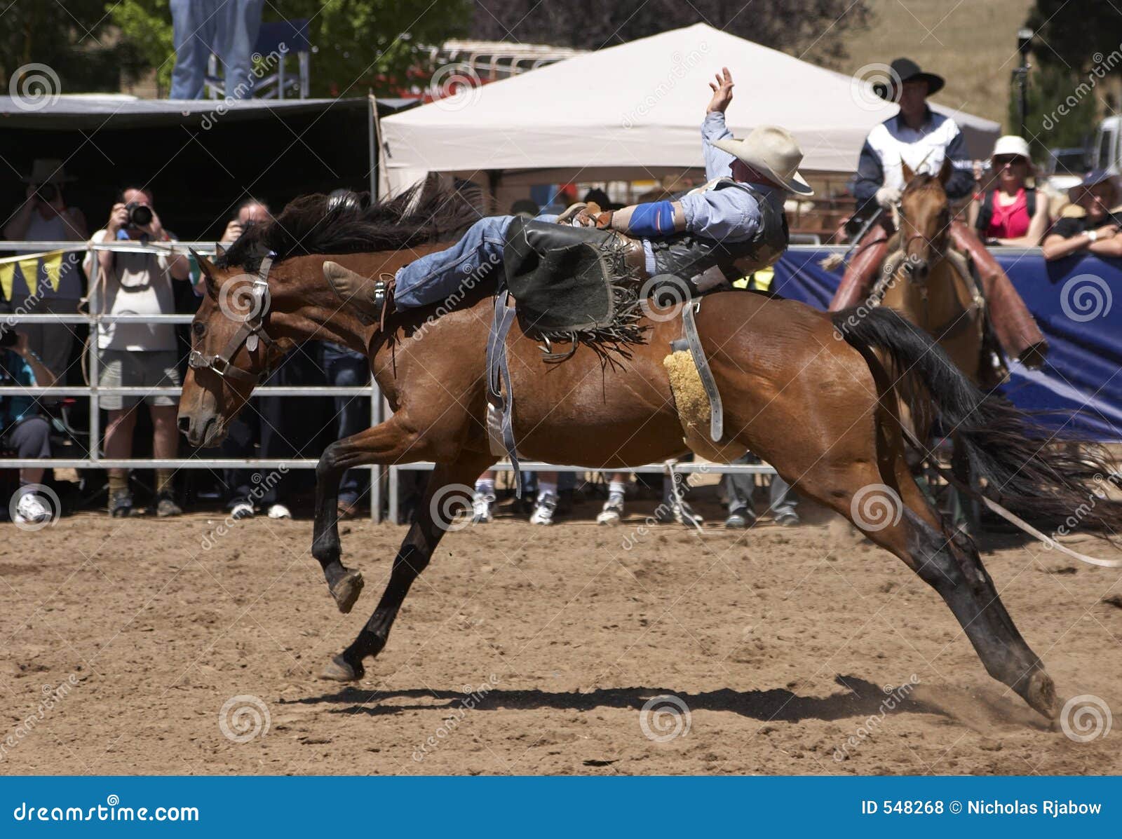 Rodeo Rider stock photo. Image of hooves, bridle, rider - 548268