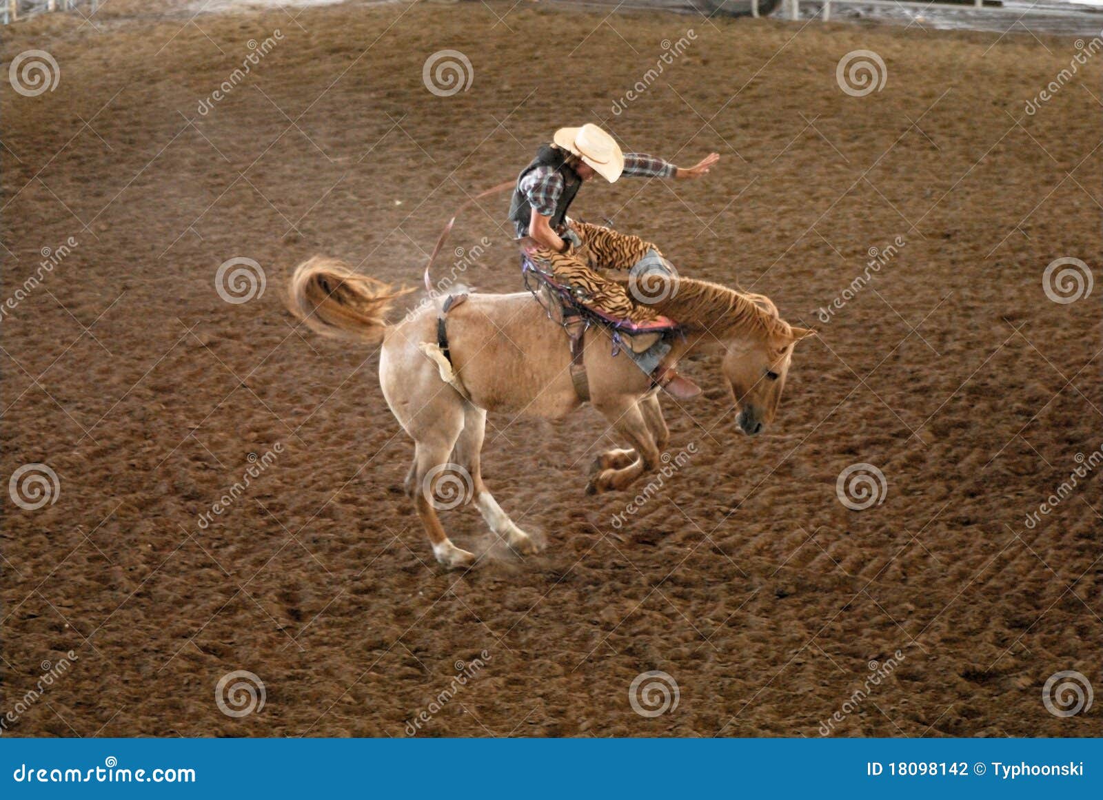 Rodeo Rider in Texas editorial photography. Image of wild - 18098142