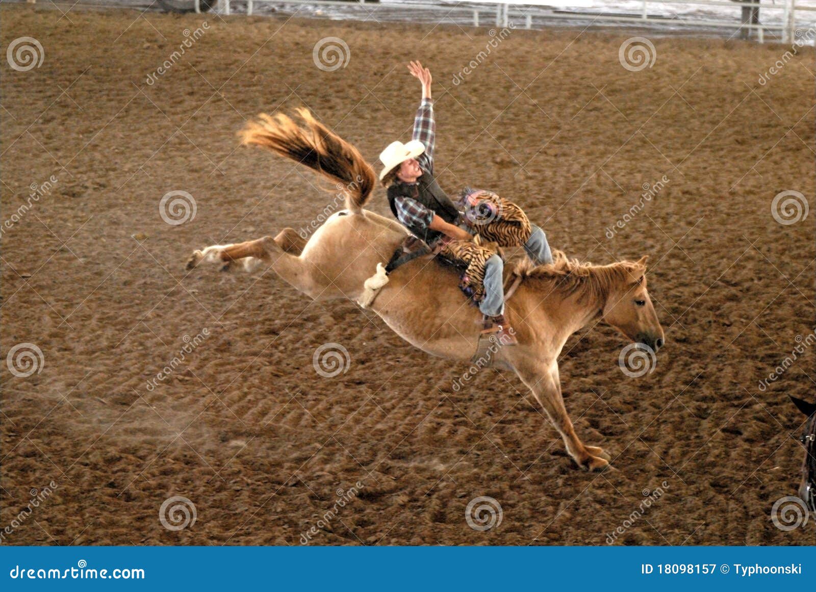 Rodeo Rider in Texas editorial photography. Image of jeans - 18098157
