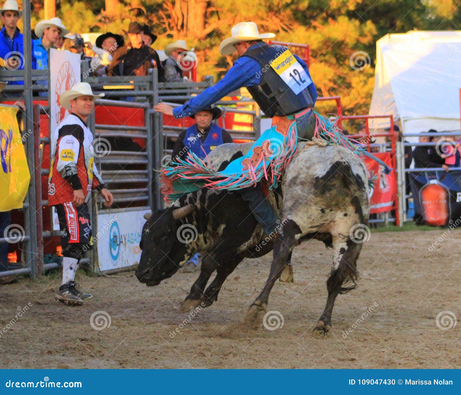 Rodeo editorial image. Image of event, riding, rodeo - 109047430