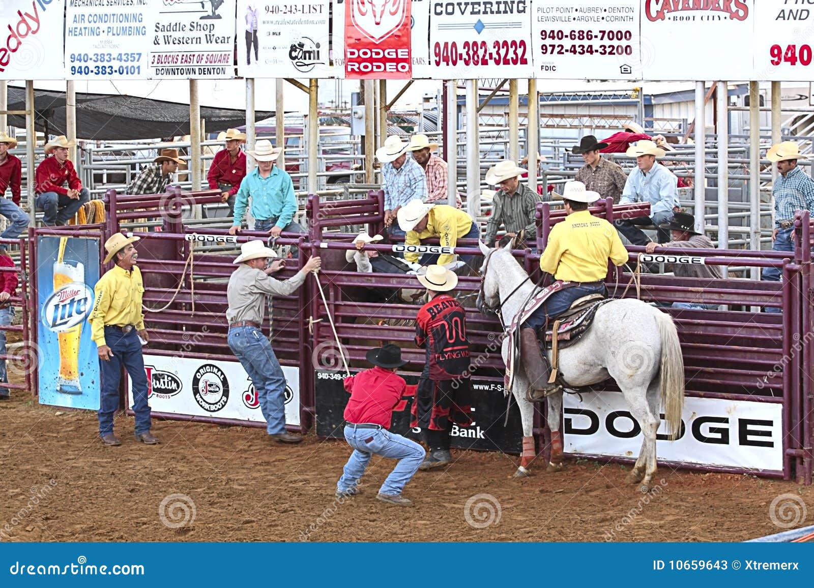 Rodeo scene. editorial stock photo. Image of equine, field - 10659643