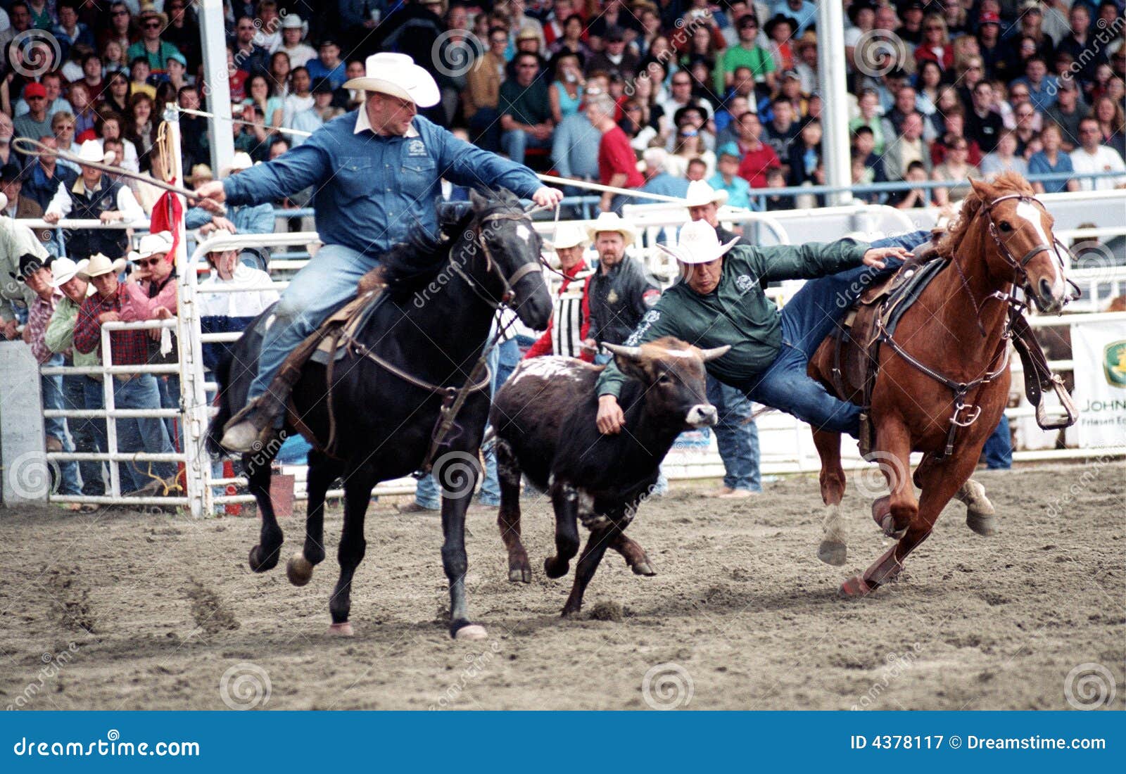 Rodeo: Team Roping editorial photography. Image of jeans - 4378117